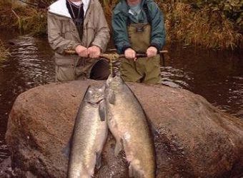 Salmon River fishing report guide, fishing report for steelhead salmon NY